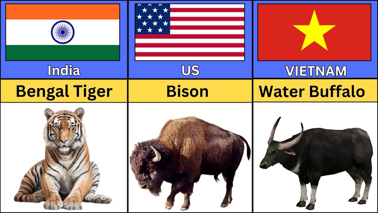 National Animals of the World 🌍 | Iconic Animals from Different ...