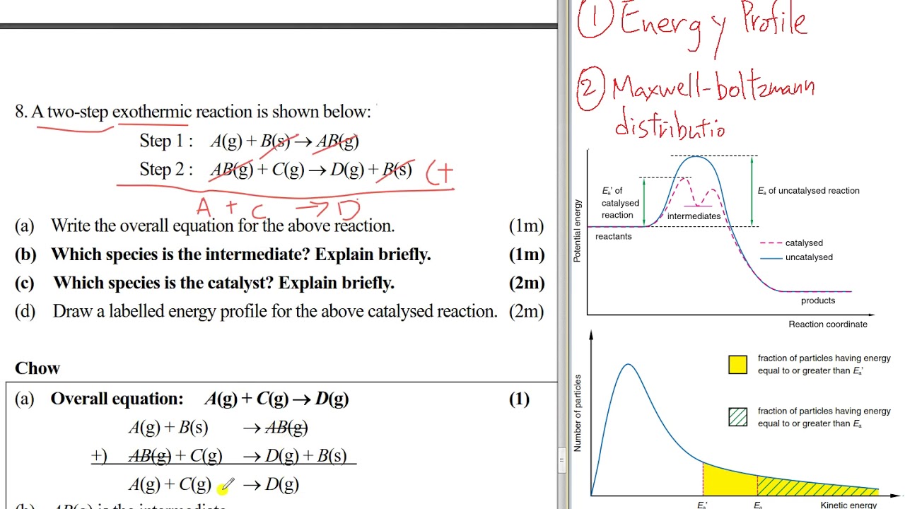 [F6] 53.1 Maxwell-Boltzmann distribution (catalysis) - YouTube