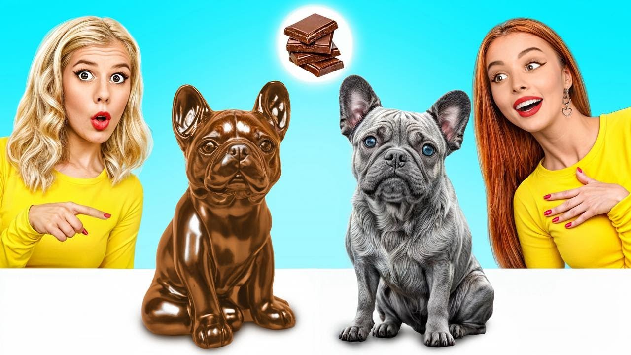 Candy vs Real Food Challenge | Rich vs Poor Cooking Challenge by Candy ...