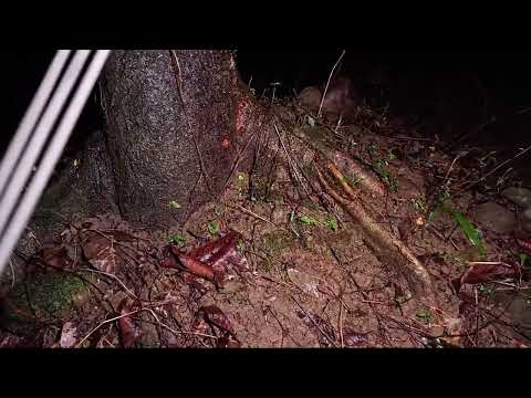 SEMUA TURUN TANGAN SAMPAI EYANG BATARA TINGGI DAN GURU NGAJI SI OMEN ...