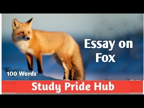 Essay on Fox | Essay on Fox in English | Lomdi Par Nibhand | Essay on ...
