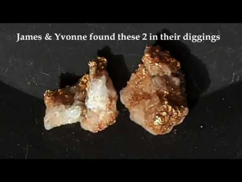 First Class Miners Humbug Mountain Gold Prospecting Campout, 2-15-20 ...