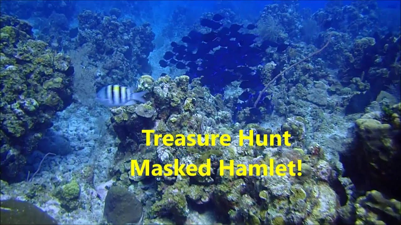 Masked Hamlet June 2016 - YouTube