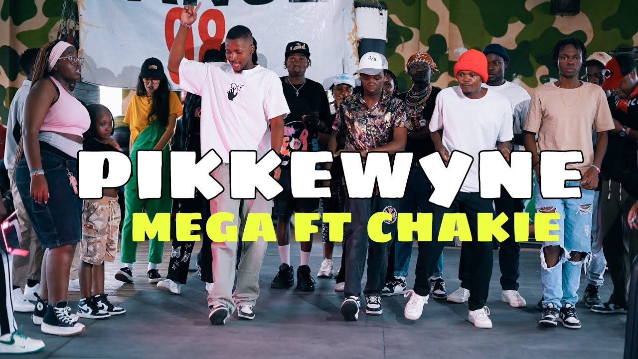 Pikkewyne- Mega x Chakie, Meneer Cee, Jay Music & Naiidy(official dance ...