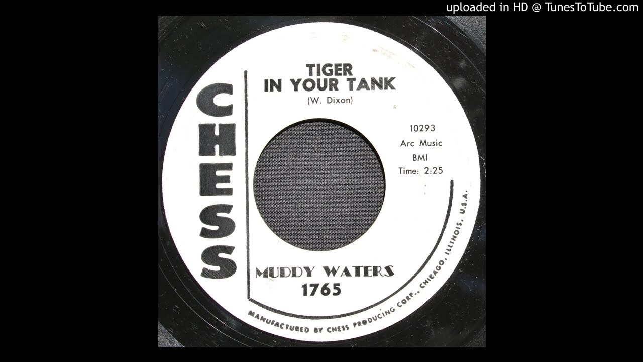 Muddy Waters - Tiger In Your Tank - 1960 Blues - YouTube