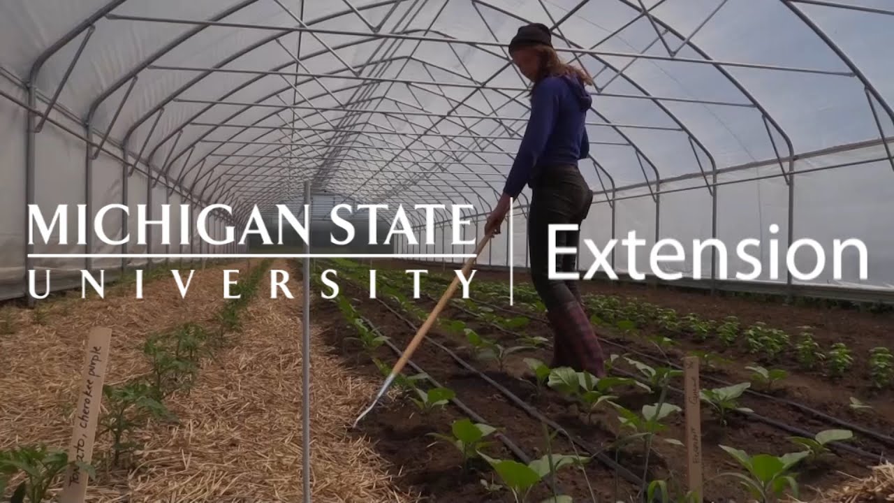 Welcome to MSU Extension - Agriculture & Agribusiness - YouTube