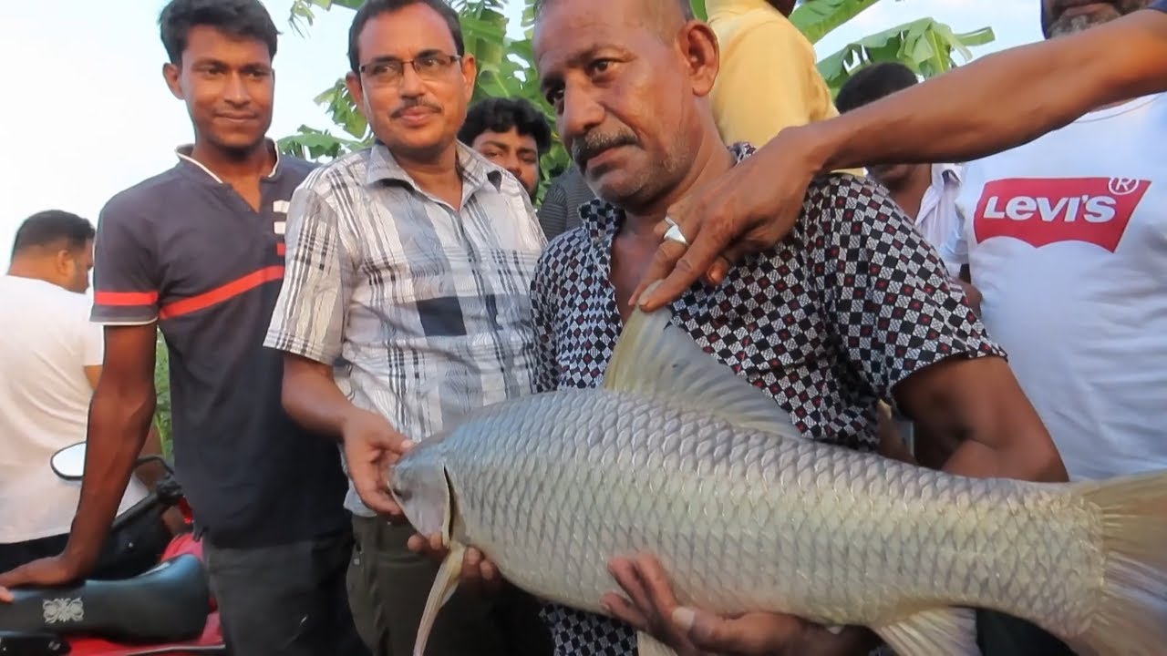 10 KG Plus Red Rohu Fish Hunting in Village Area - YouTube