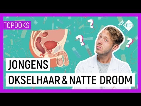 WAT GEBEURT ER MET JE LICHAAM IN DE PUBERTEIT | Vraag het dokter Elbert | NPO Zapp