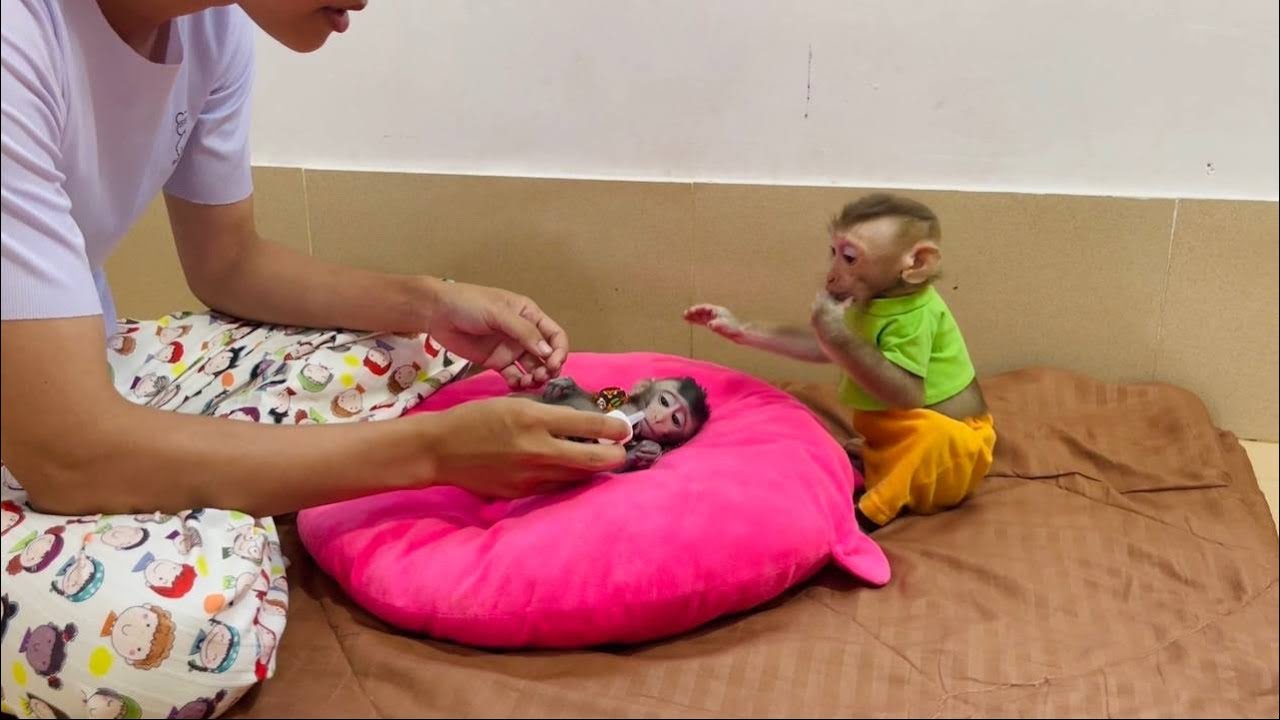 Miss Jasmine funni reaction want koi’s pacifier - YouTube