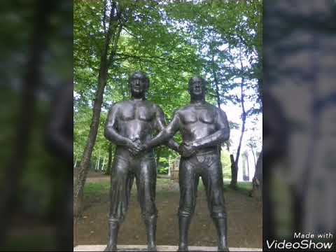 Hendek selman dede gezim