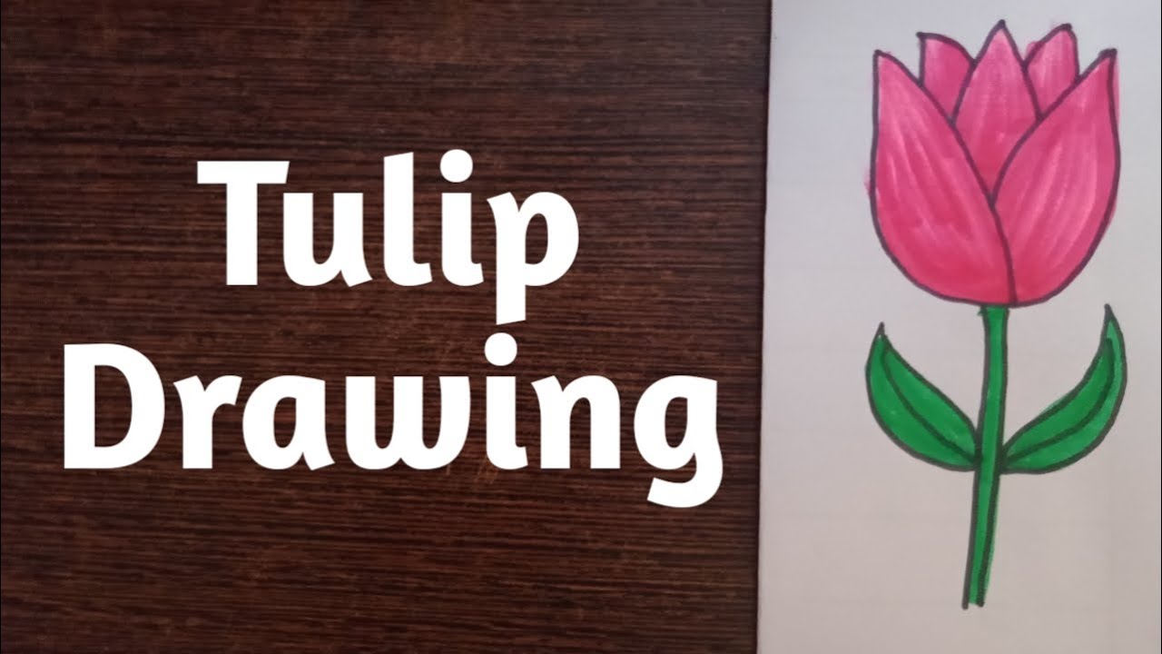 🌷How to draw tulip🌷 - YouTube
