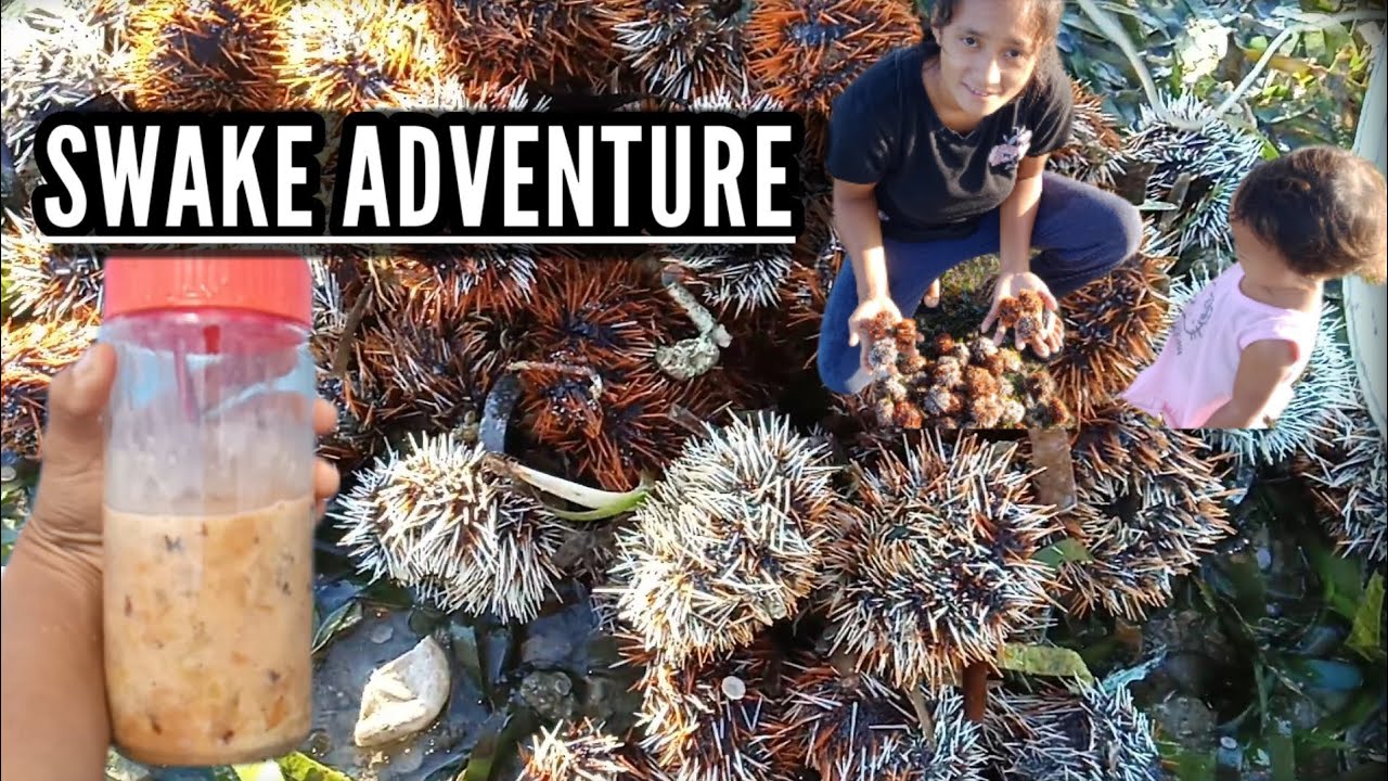 SWAKE ADVENTURE | Grabi sobrang dami ng swake😱😱😱 - YouTube