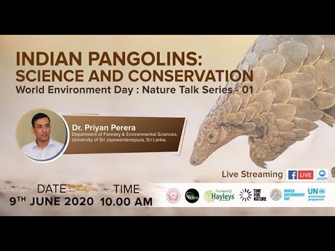 Indian Pangolins: Science and Conservation - YouTube