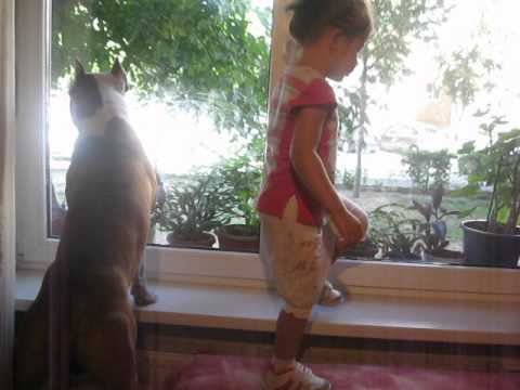 child and amstaff: Natalia & Rock - best friends - YouTube