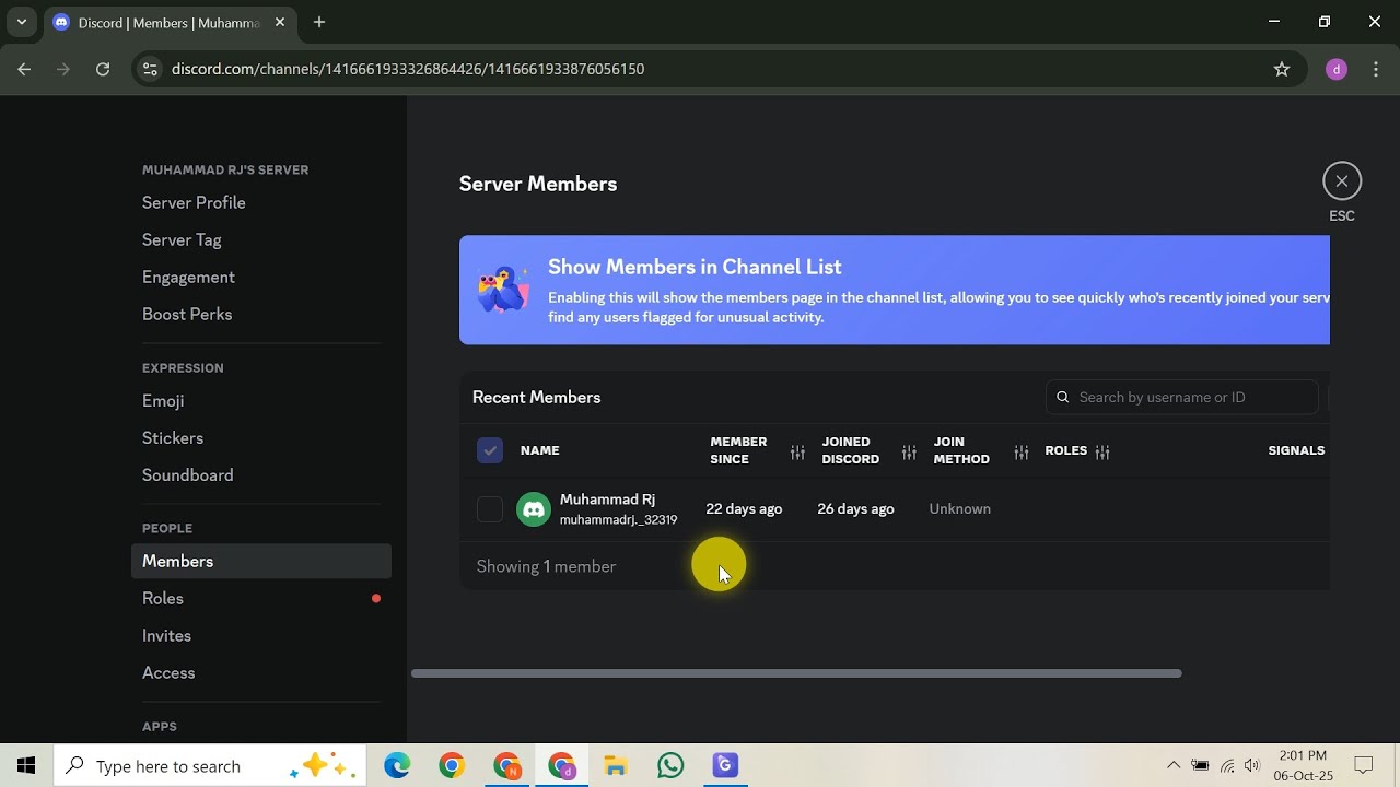 How To Find The Discord Server Owner - YouTube