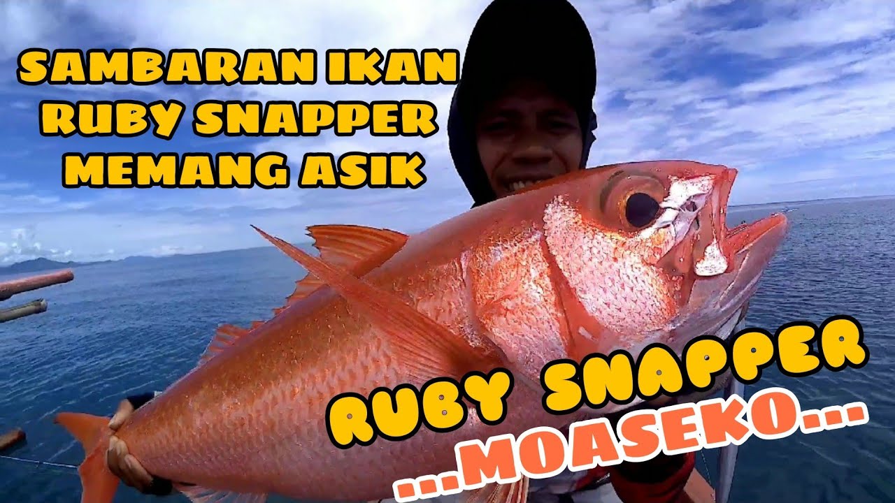 SAMBARAN IKAN RUBY SNAPPER MEMANG ASIK | PALASTIK FISHING - YouTube