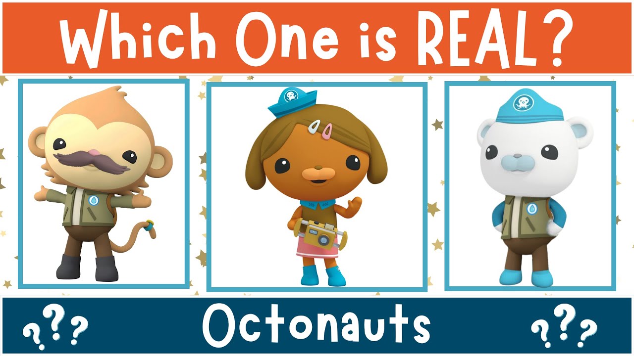 Can You Guess The REAL Octonauts Character? - YouTube