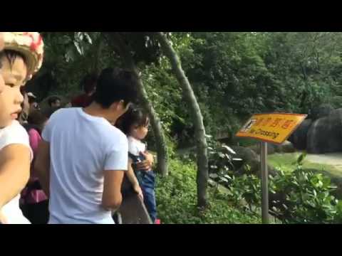 Ruan Tang_tang(10) - YouTube