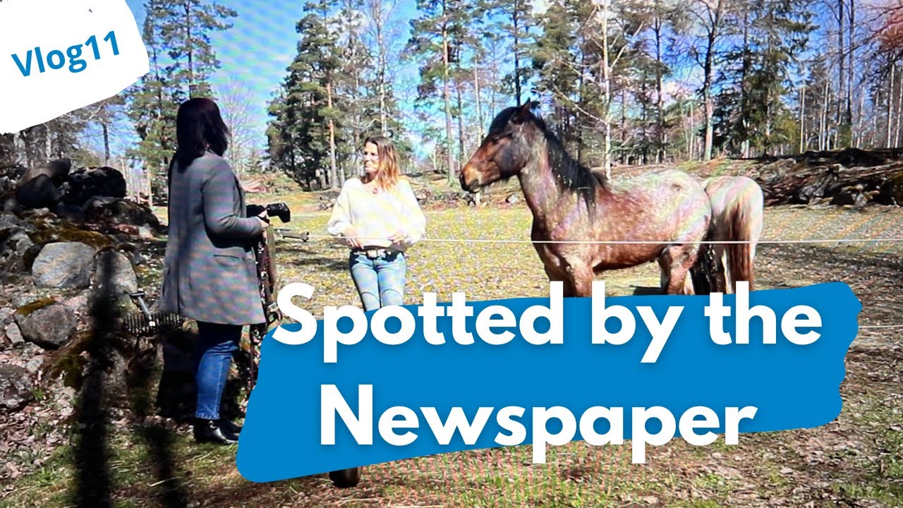 Spotted by the Newspaper // Our Homestead in Sweden Vlog 11 // Maeryêla ...
