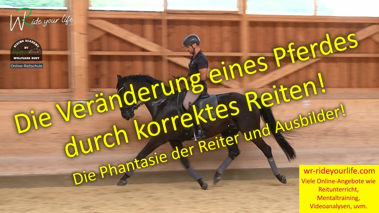 F192 Die Veränderung durch faires Reiten. 3 wichtige Punkte für die ...
