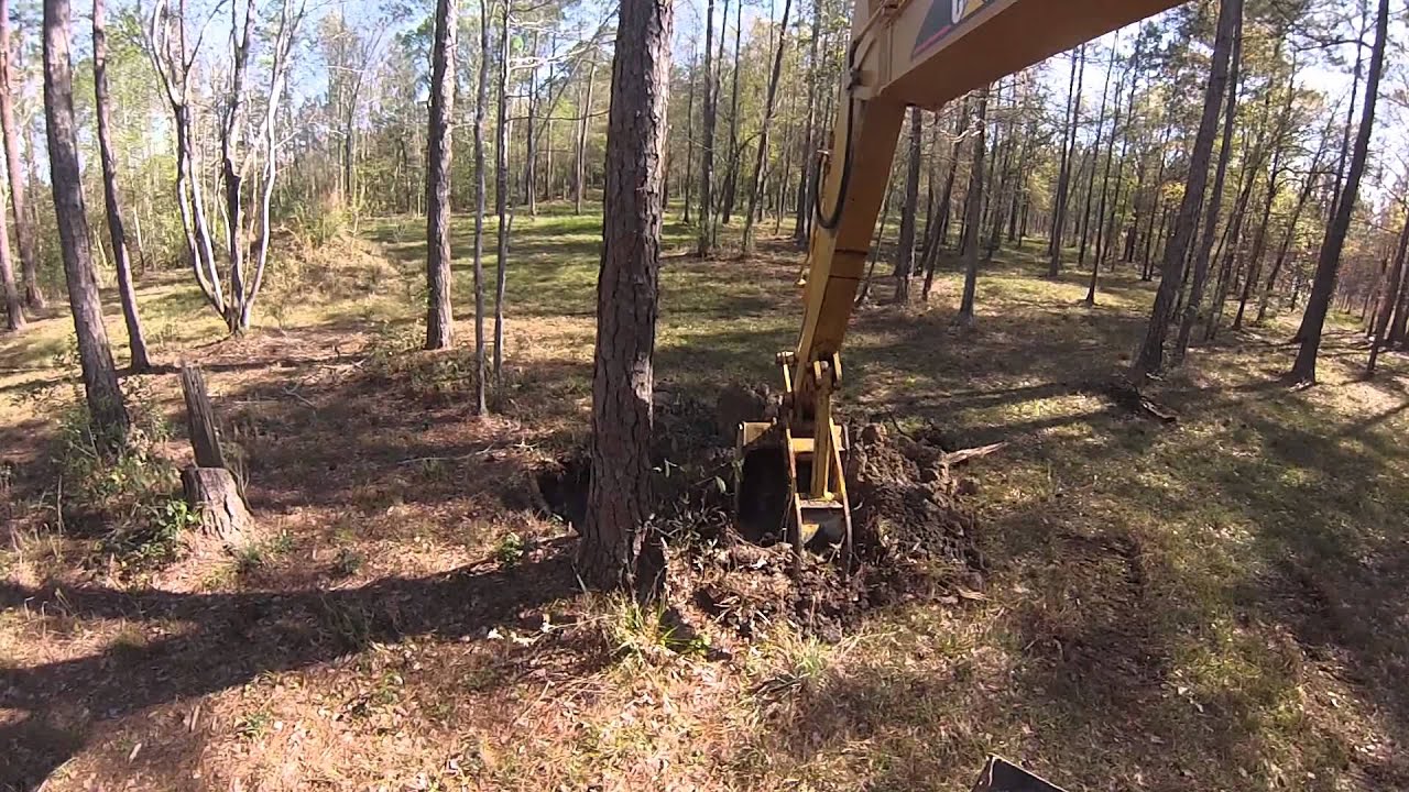 Pulling roots, dropping pines - YouTube