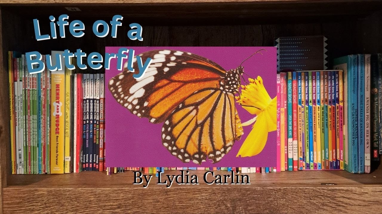 Life of a Butterfly by Lydia Carlin / Read Along / Reading with Locky ...