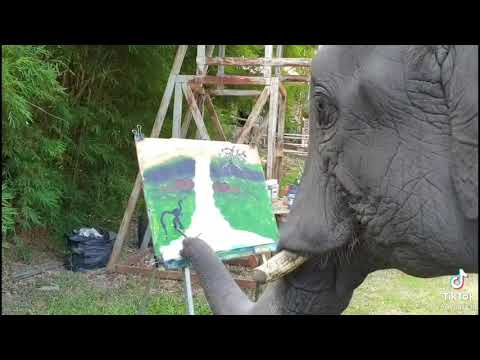 Resim Yapan Fil! 🐘