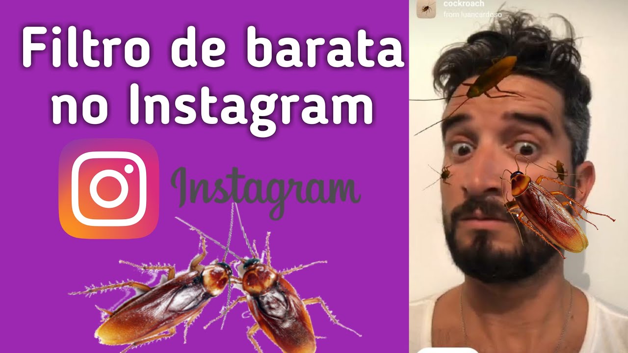 Como obter filtro de barata no Instagram | cockroach filter on instagram - YouTube