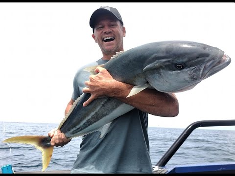 GIANT Kingfish & what Whitianga Charters Are Really Like ... - YouTube