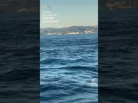 Belki üstümüzden bir kuş geçer #keşfet