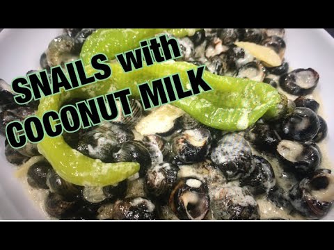 How To Cook Snails With Coconut Milk (Suso) - YouTube