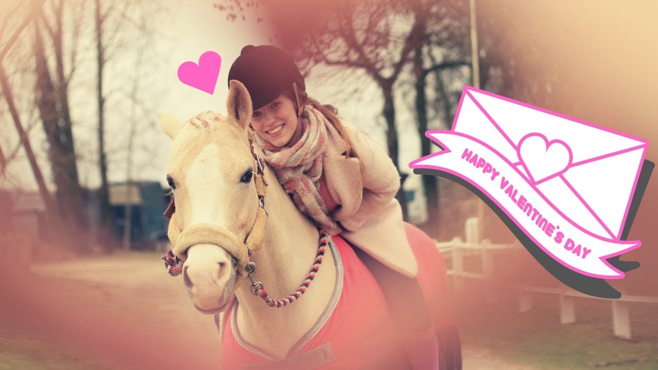 BEST SAINT VALENTIN EVER ! 💞🐴😱 I Georgette ou Taxi ? - YouTube