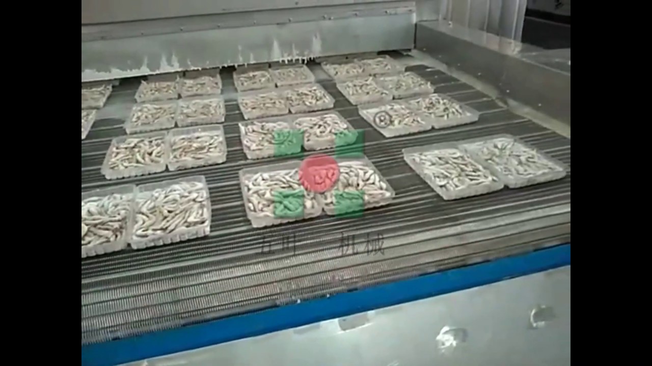 industrial machine iqf freezers/shrimp quick freezing machine/seafood ...