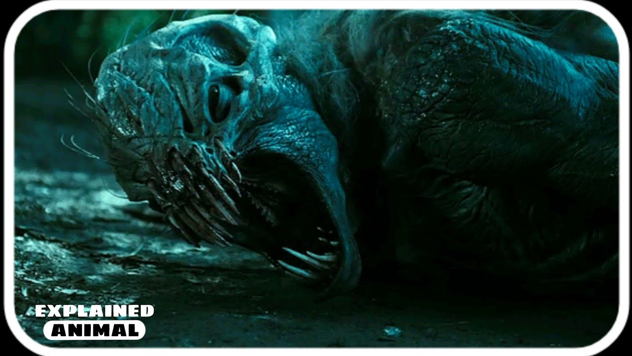 Survival Thriller Monster Movie | Animal | Horror Movie Explained In ...