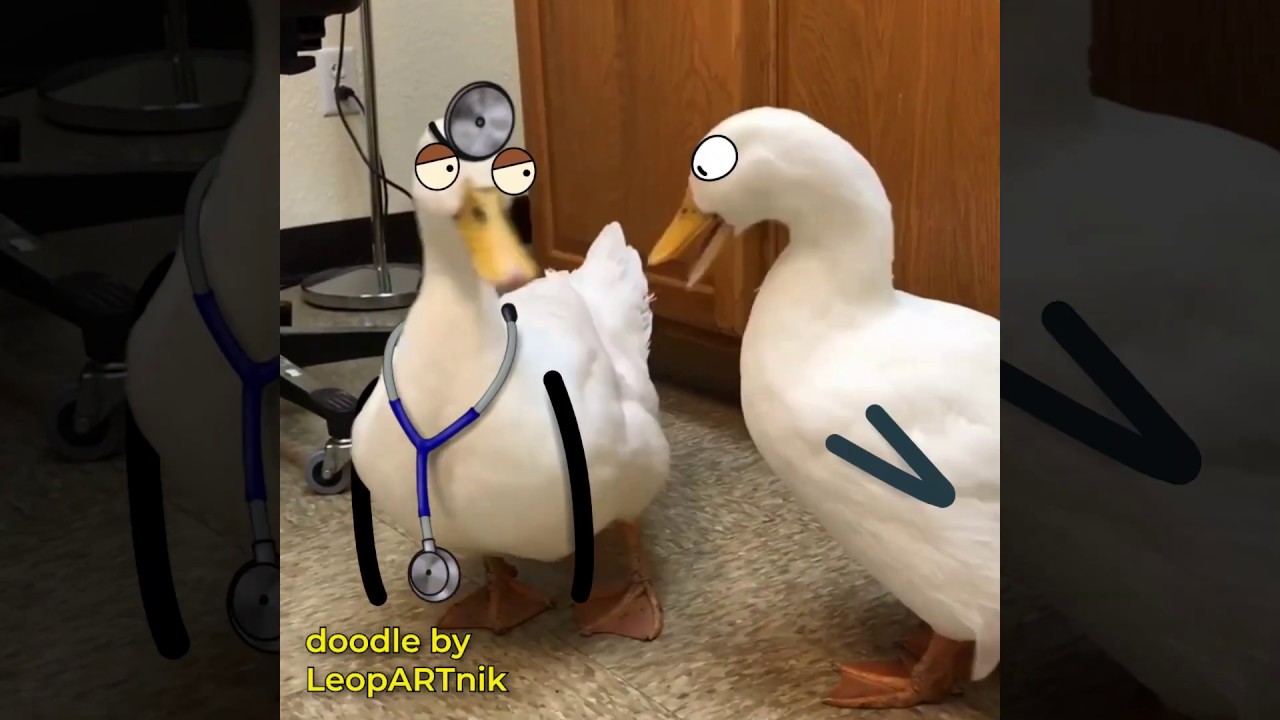 DUCKtor and Special Kind of Patient - YouTube