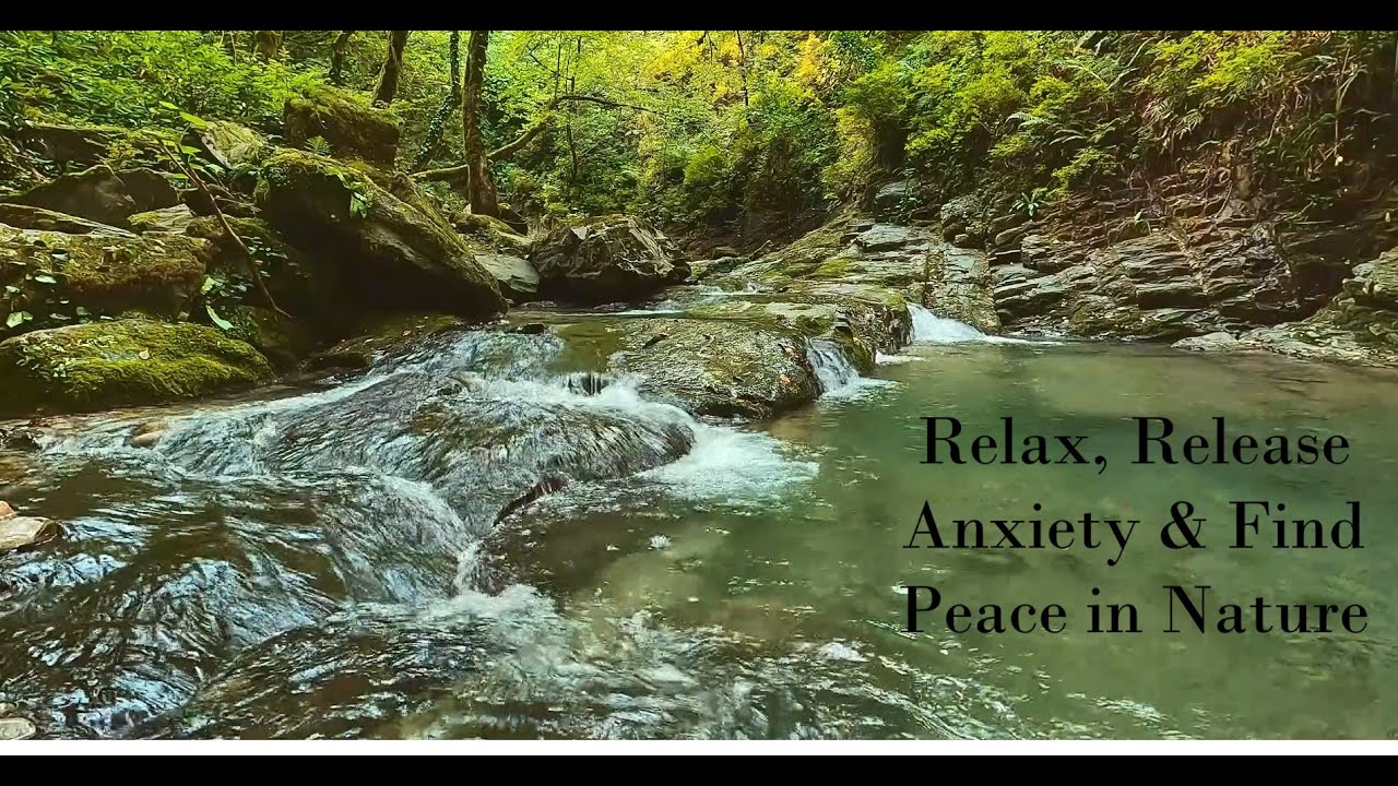 Ultimate Stress Relief: Connect with Nature & Calm Your Anxiety - YouTube