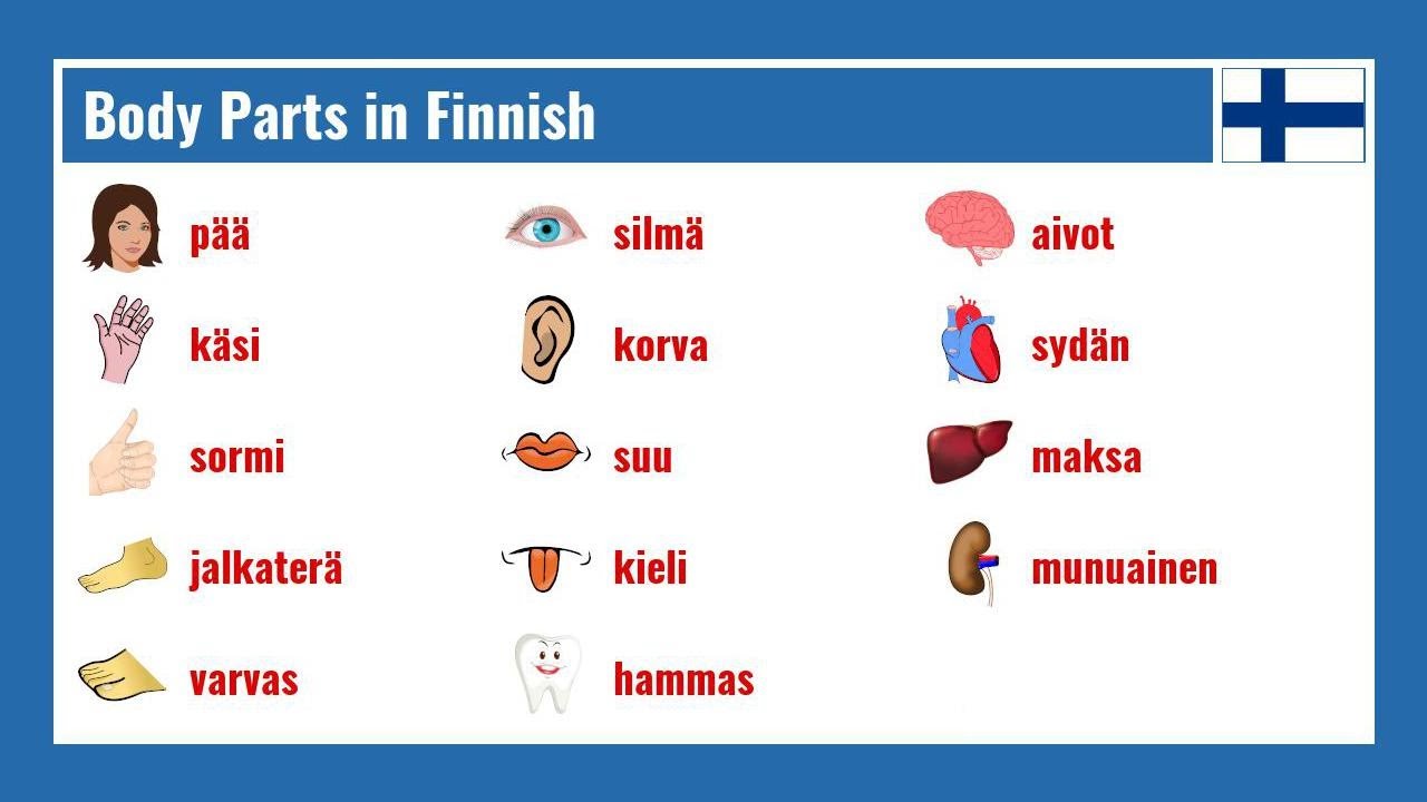 Body Parts in Finnish - YouTube