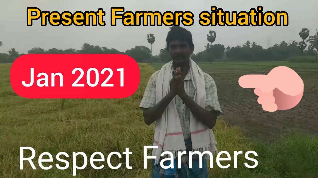 Our Village Farmer's Situation😢🌾Do Respect Farmers Always.... - YouTube