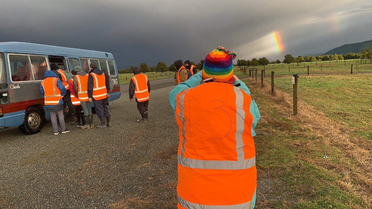 Operation Tidy Fox - July 2019 - YouTube