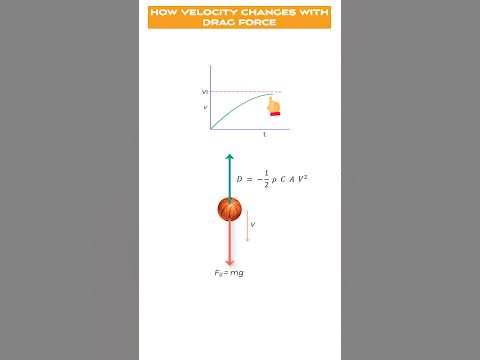 DRAG FORCE: Terminal Velocity Vs. Time Graph (Drag Force Physics and Terminal Velocity) - YouTube