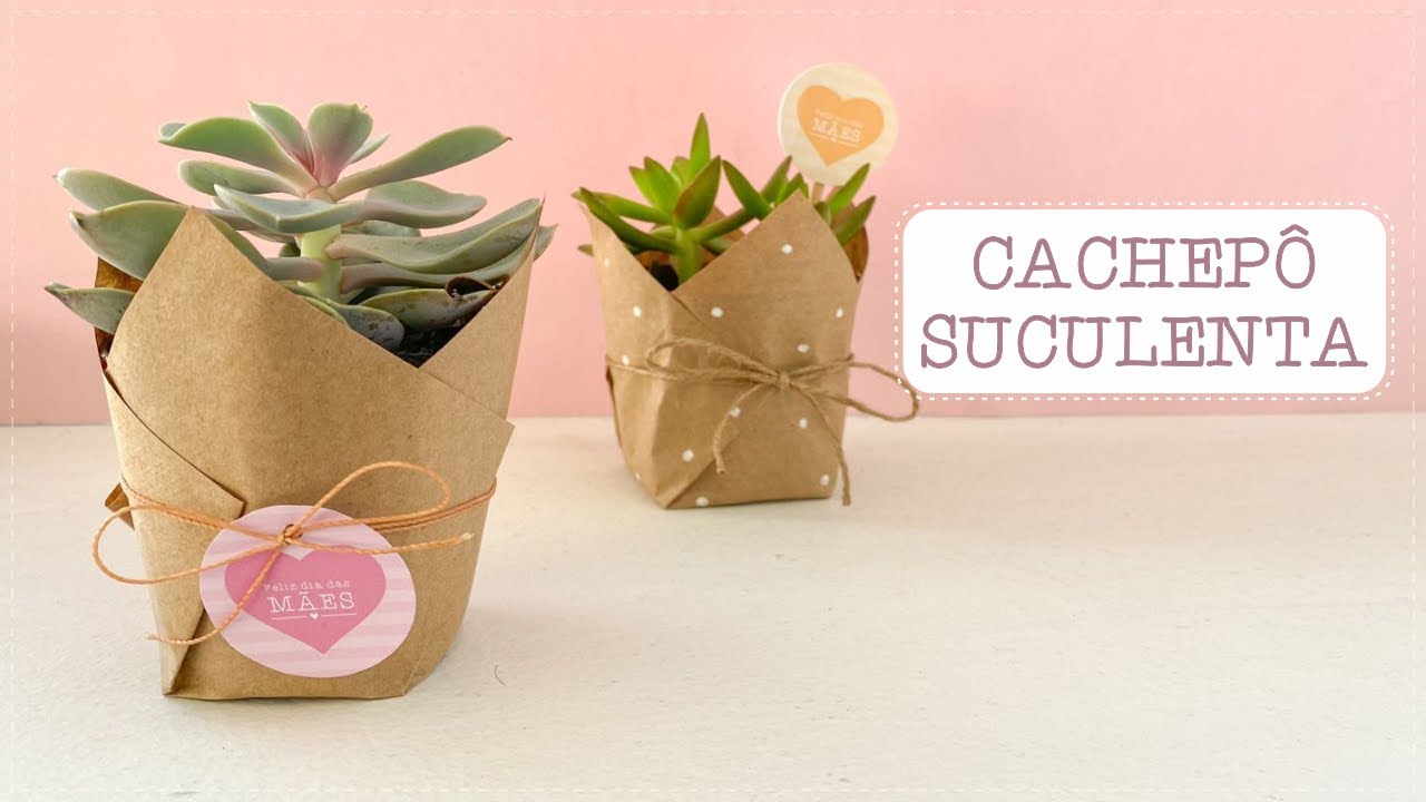 CACHEPÔ PARA SUCULENTA PRESENTE FÁCIL E BARATO | DIY - YouTube