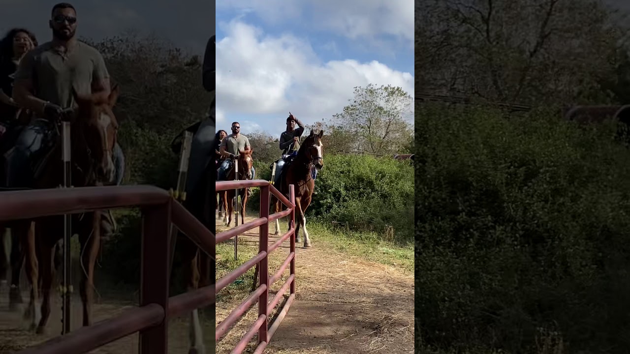 Horseback Riding Houston & Trail Ride for Beginners & Experienced ...