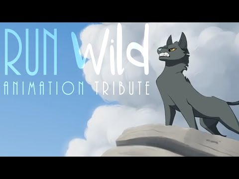 Run Wild // Animation Tribute