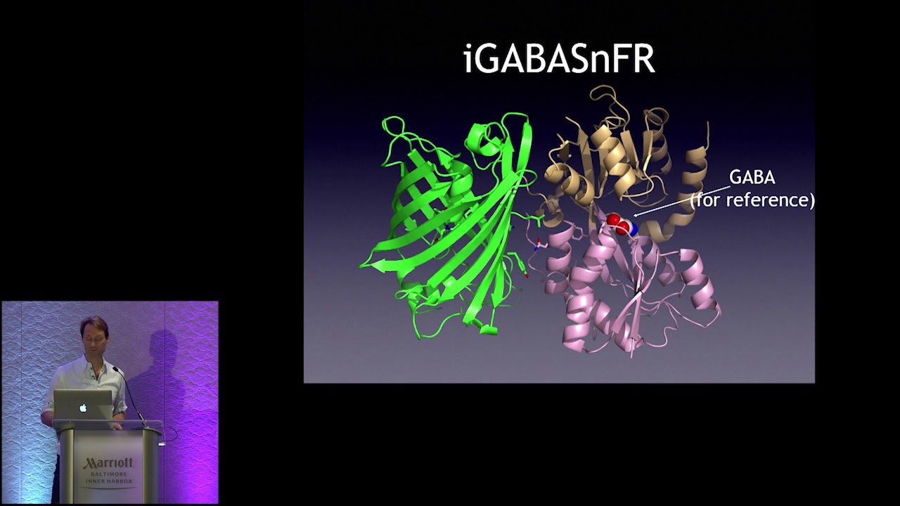 Jonathan Marvin, Phd: Flourescent Sensors for Neuroscience - YouTube