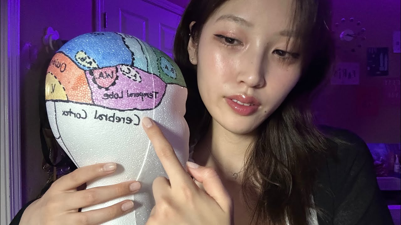 ASMR Sleep Clinic 💤 Soft Spoken Personal Attention - YouTube