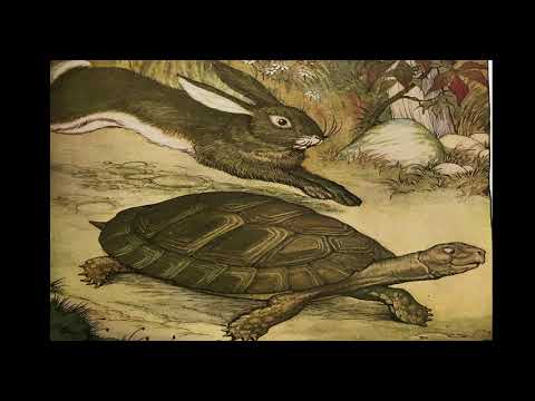Kaplumbağa ve Tavşan Masalı /Hikayesi Çizgi Film/Çocuk Masalları
