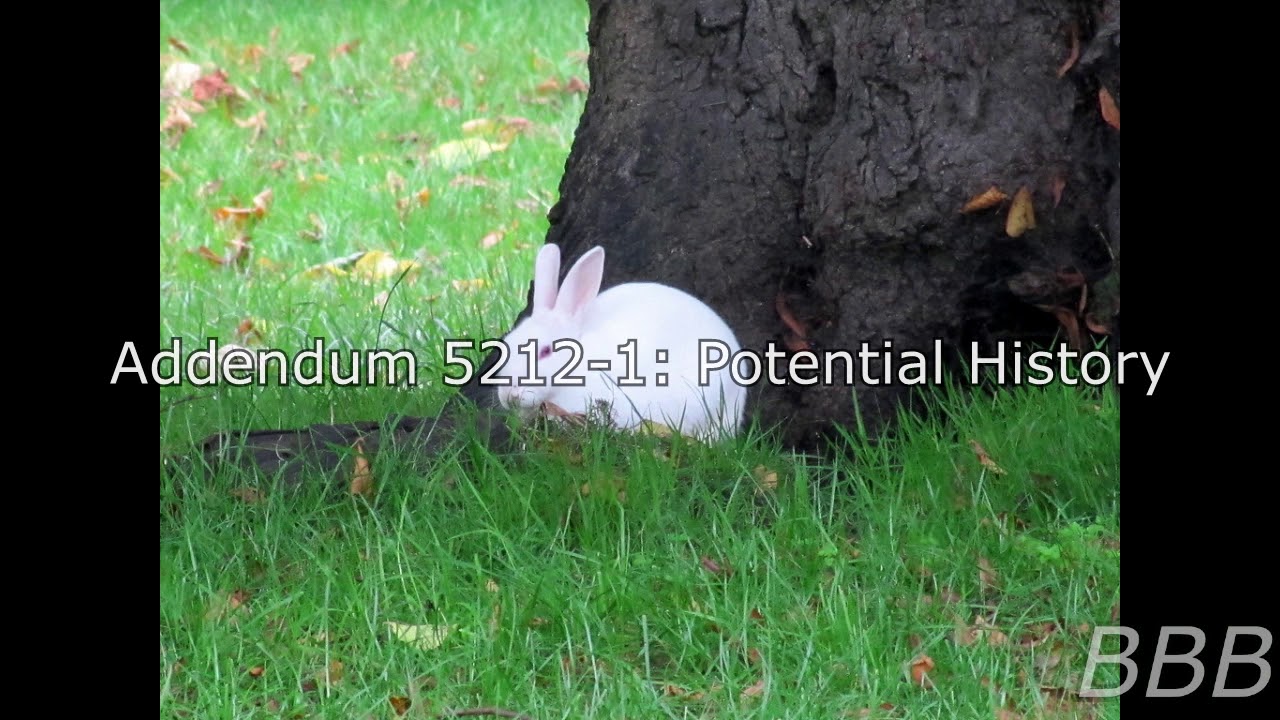 SCP 5212 The White Rabbit | Folklore SCP - YouTube