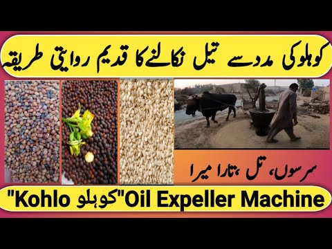 Traditional Mustard Oil Making Process|Oil Expeller Machine| Kohlu|Oil ...