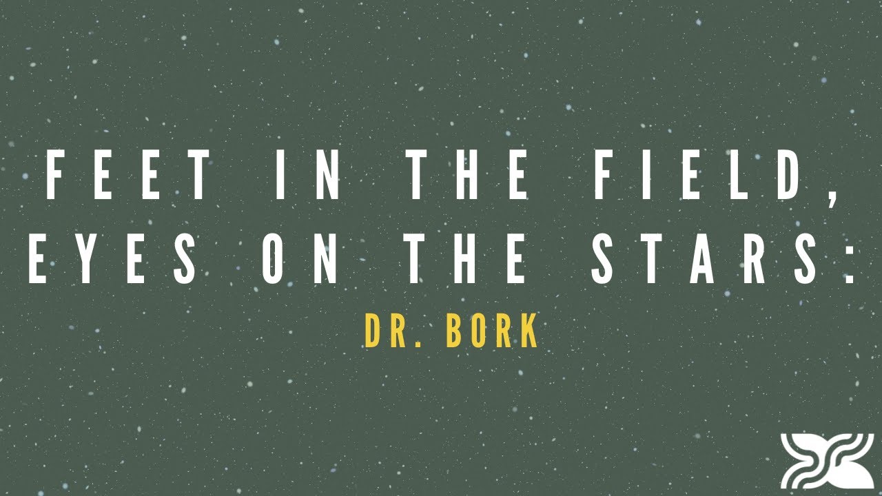 Research Showcase: Dr. Bork - YouTube