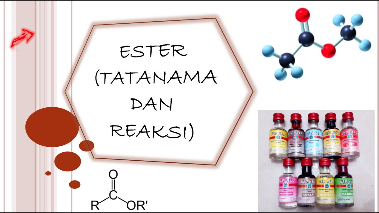 ESTER (Cara memberi Tatanama dan Reaksi Ester) - Gugus Fungsi (Senyawa ...